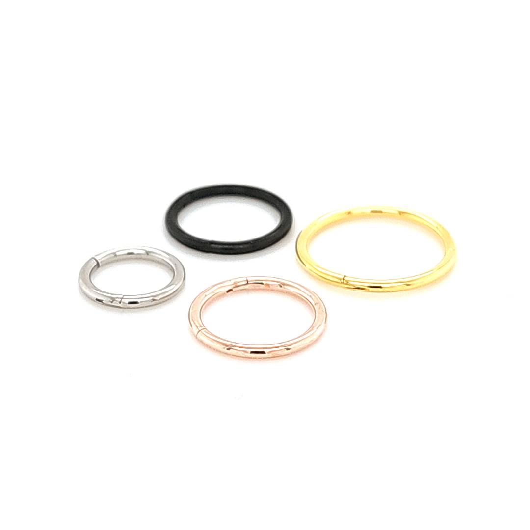 Hinged Segment Ring | 18G Hinged Segment Ring | Hinged Ring – Pico Body ...